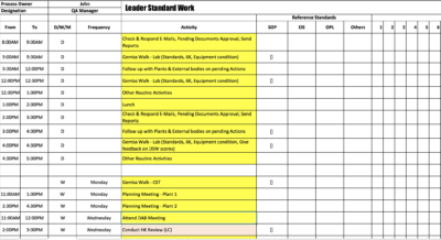 What is Leader Standard Work? - Ribcon